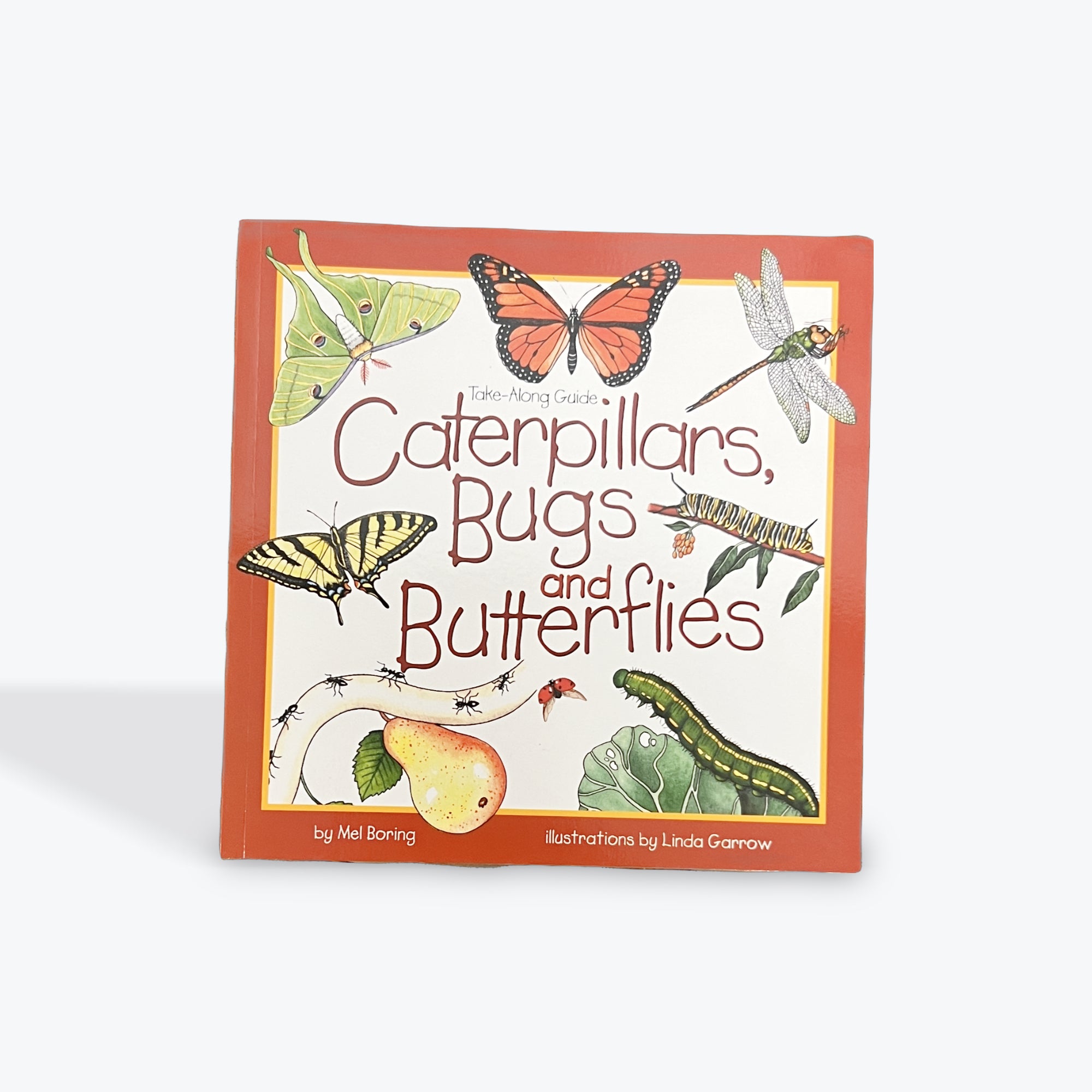 Take-Along Guide - Caterpillars, Bugs & Butterflies | Nacho Overland ...