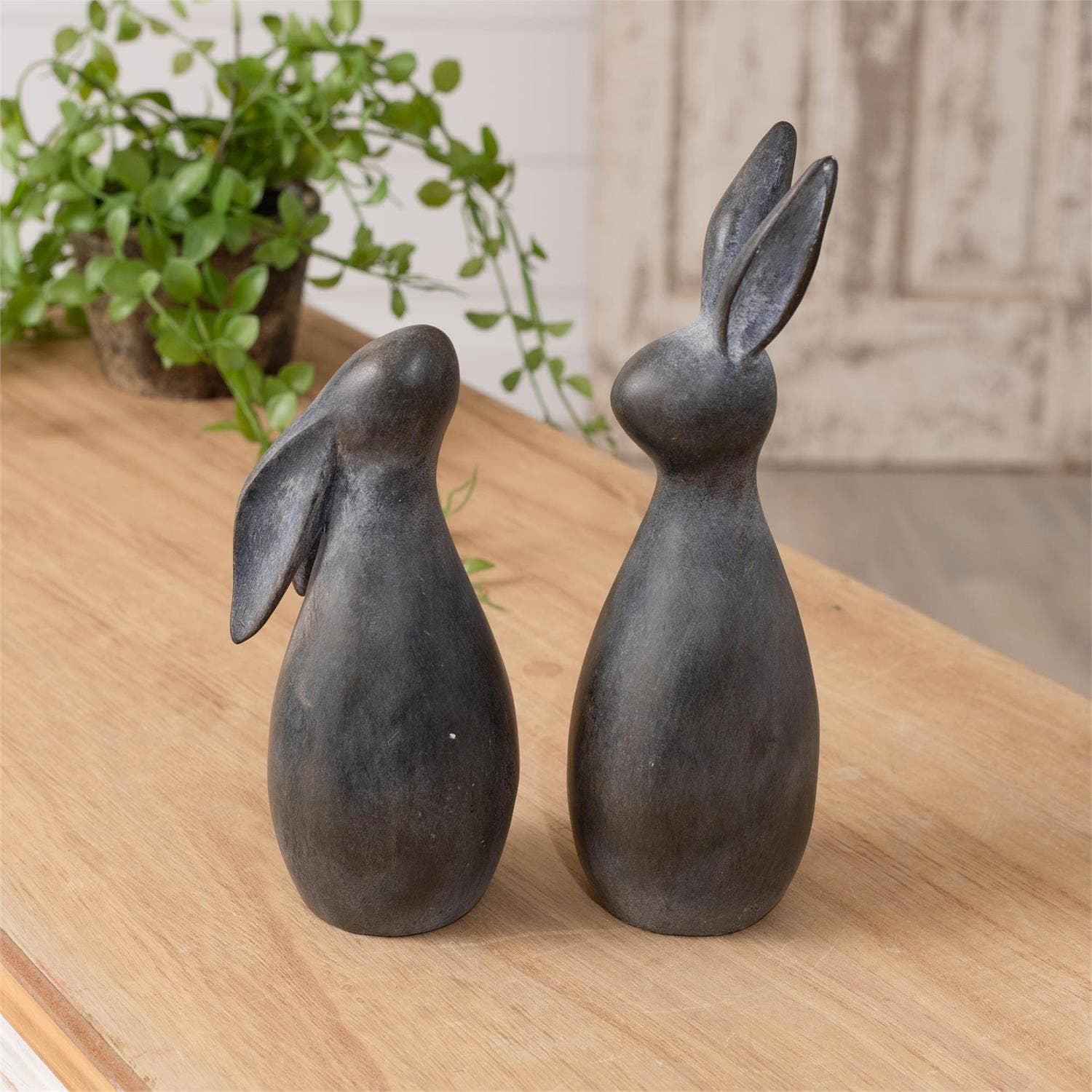 Modern Round Bunnies | Nacho Overland & Outdoor